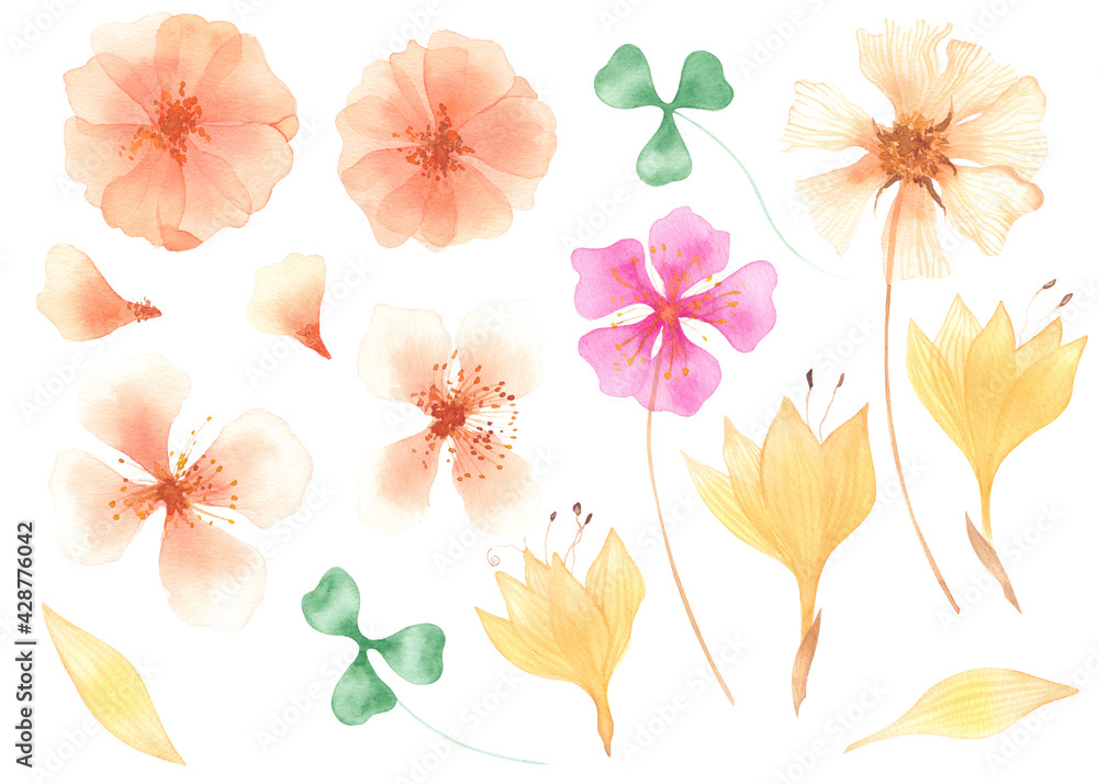 Watercolor flowers clipart set meadow summer collection Stock ...