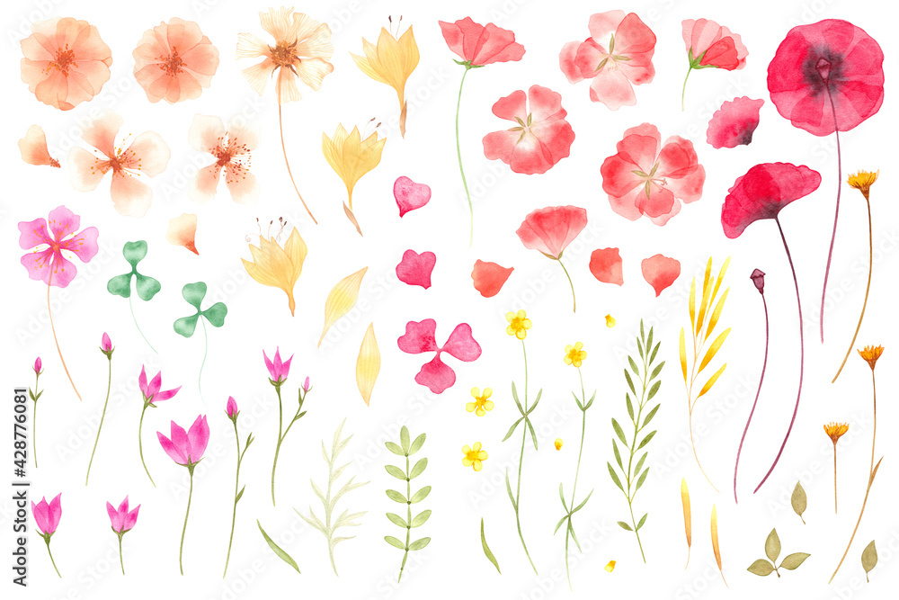 Watercolor flowers clipart set meadow summer collection Stock ...
