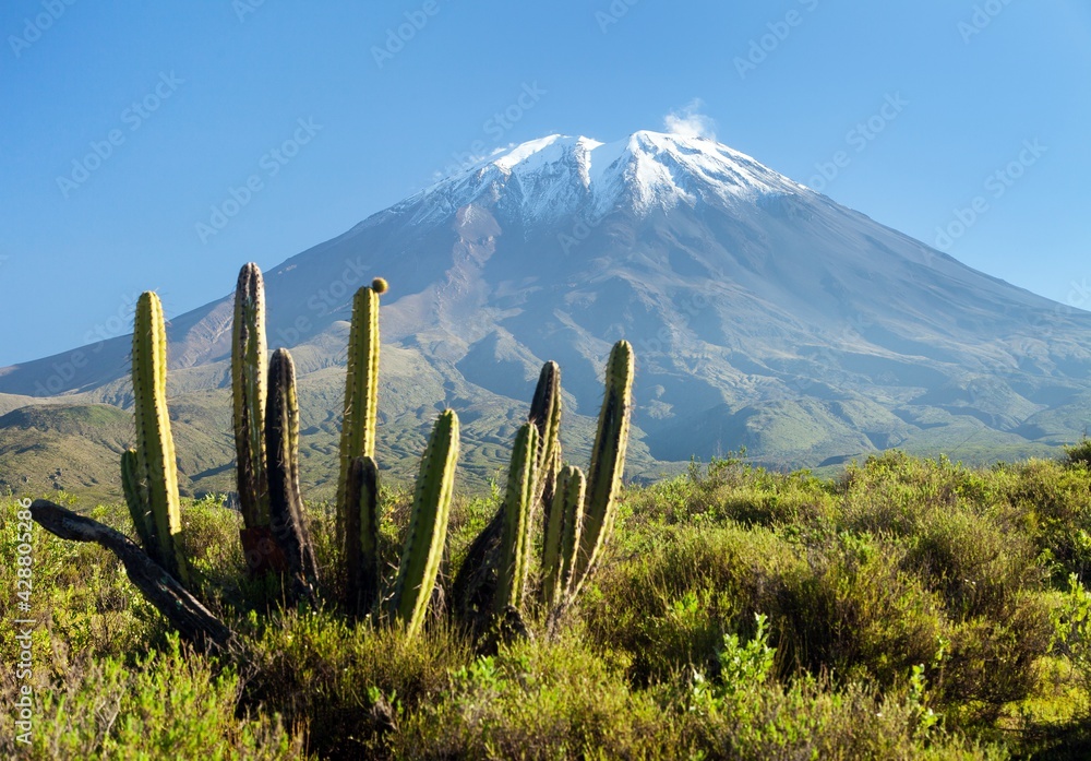 El Misti volcano near Arequipa city in Peru Stock Photo | Adobe Stock