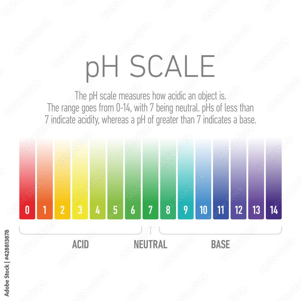 Stock-Vektorgrafik „pH value scale from acid to base solutions, acid ...