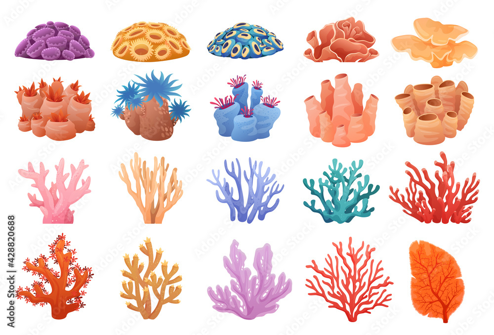 Collection of colored corals of different shapes, coral reef. Stock ...