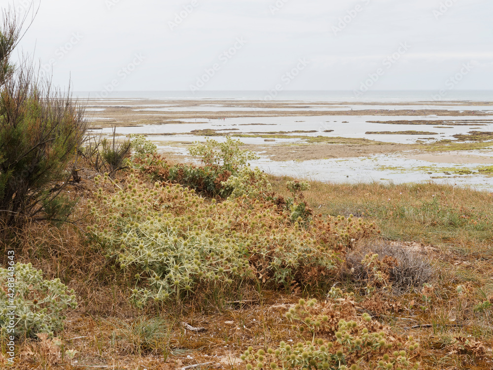 Photo Stock Île de Ré ou Ré la blanche dans le Golfe de Gascogne en ...