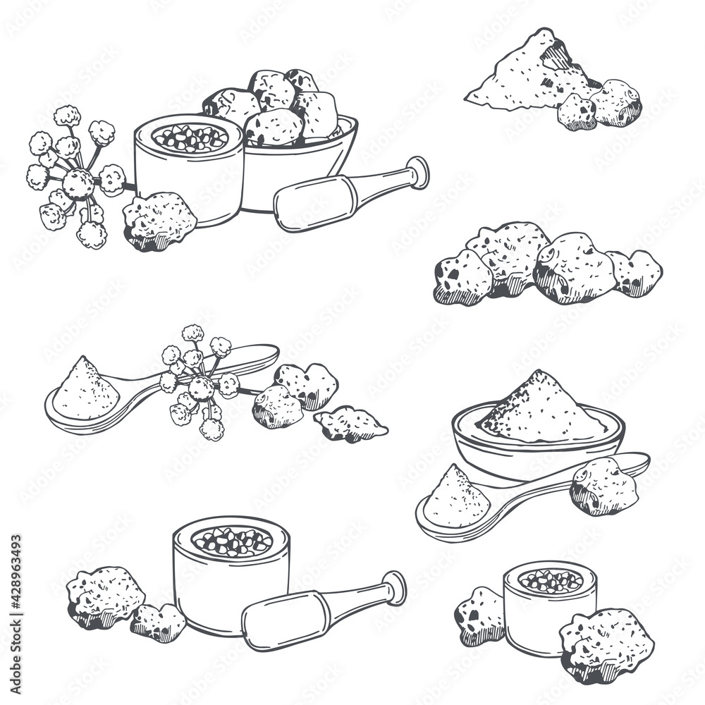 Indian spice asafoetida (hing). Stock Vector | Adobe Stock