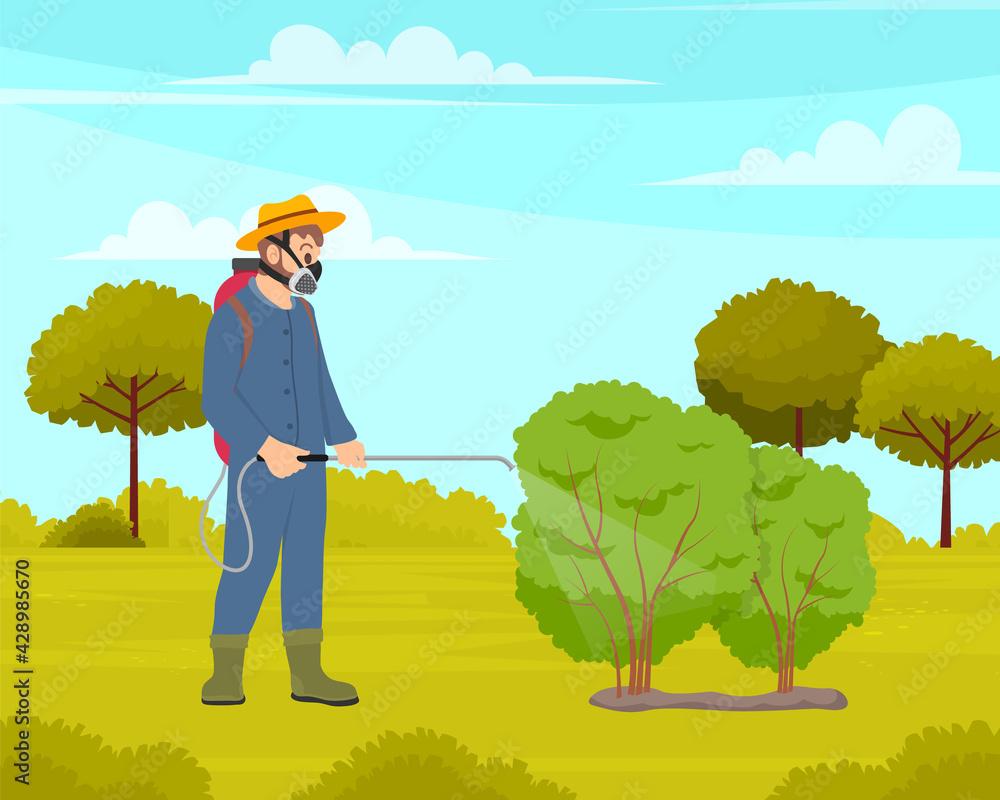 Spraying pesticide and insecticide. Processing of trees. Chemical ...