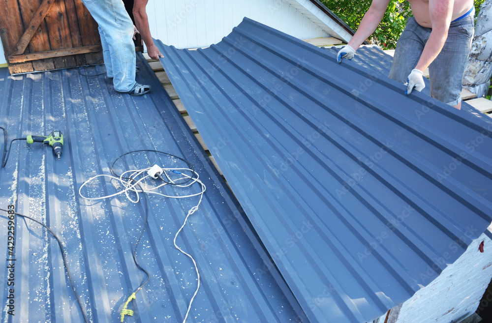 Metal roofing construction. Two building contractors are laying down ...