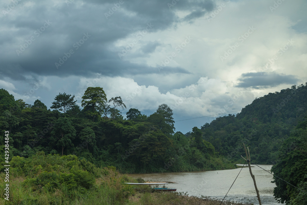 Landscape photograph of the Tembeling River and surrounding jungle, on ...
