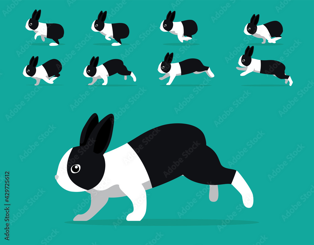 Animal Animation Sequence Rabbit Dutch Cartoon Vector Stock Vector ...
