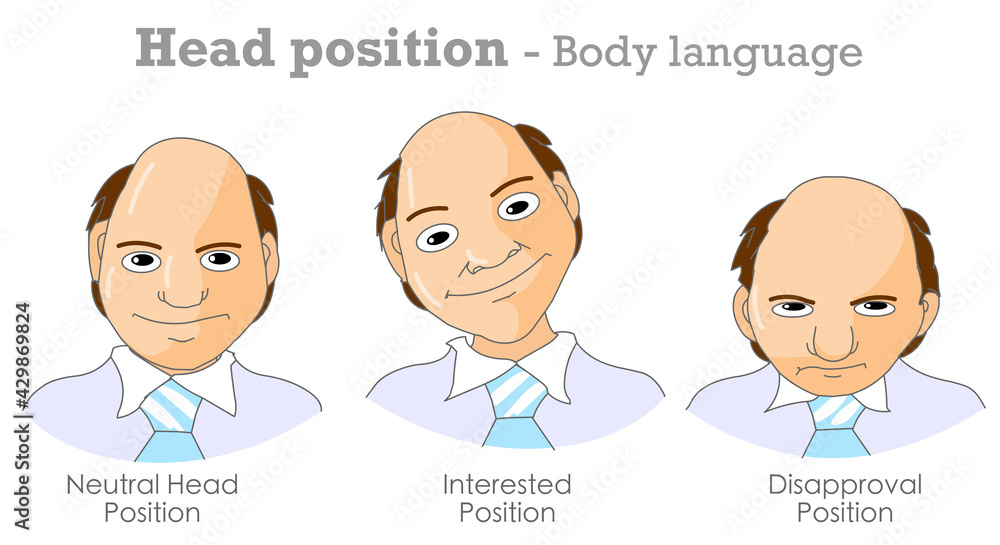 Body language, head position. Examples. Neutral, interested ...