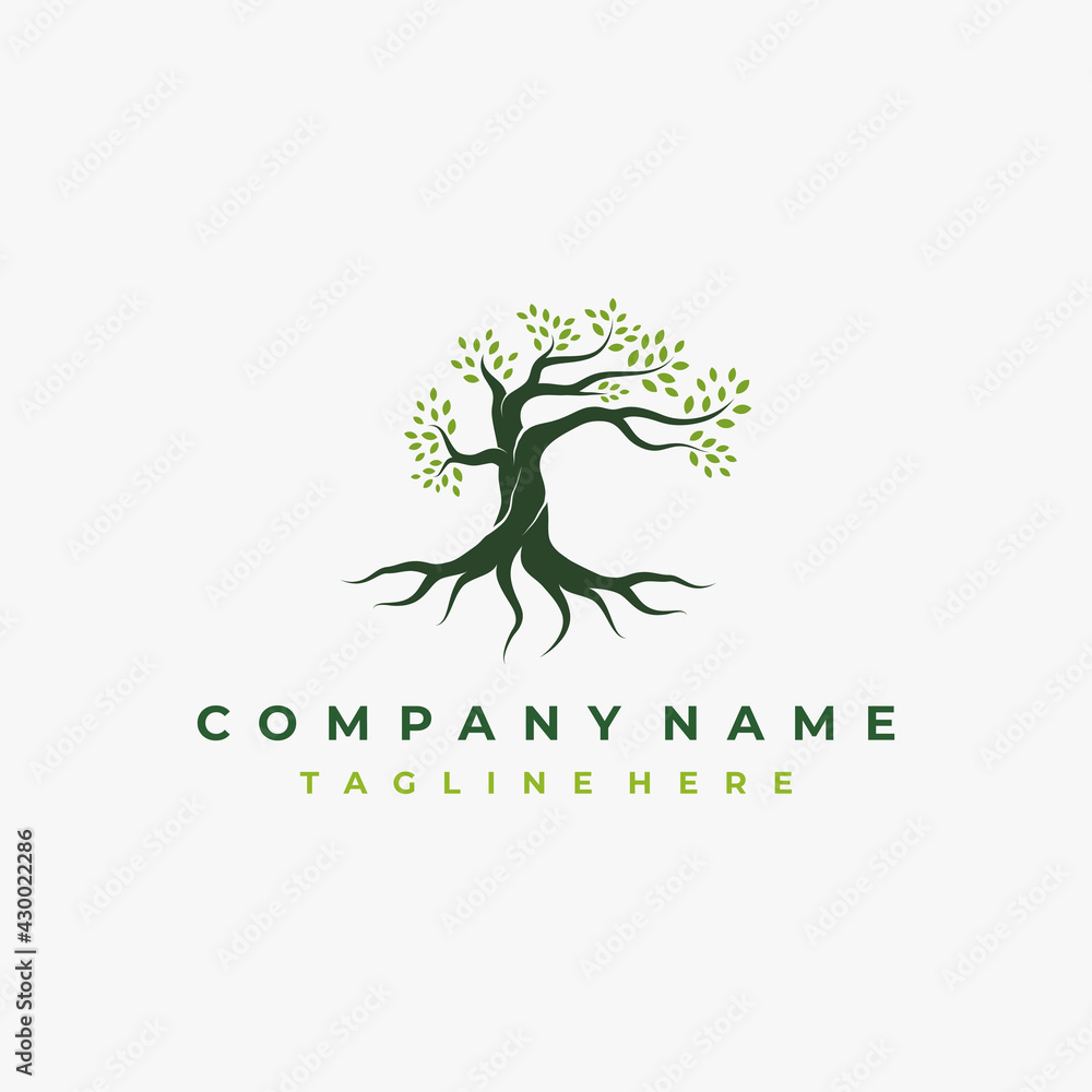 Vibrant tree logo design, tree and root vector. Tree of life logo ...