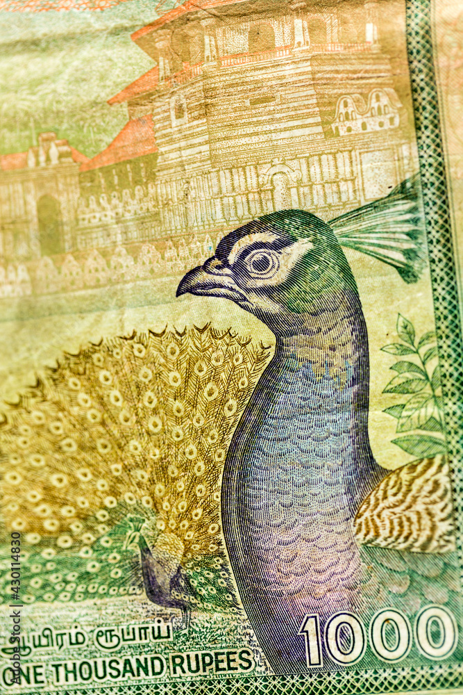 Vertical macro detail of reverse side of one thousand 1000 Sri Lankan ...