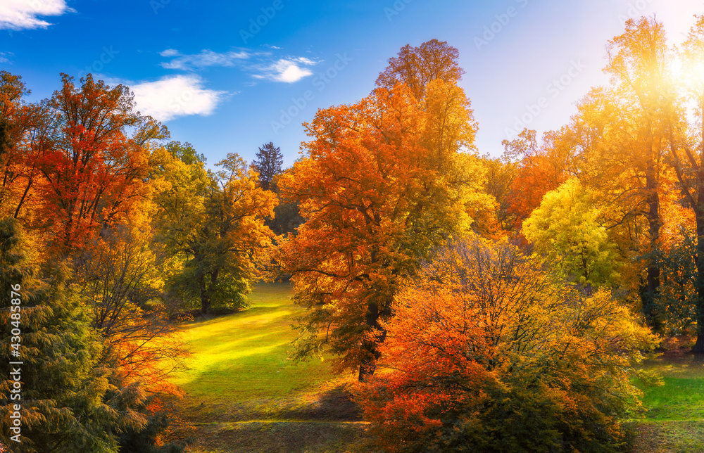 Golden autumn scene in a park, with falling leaves, the sun shining ...