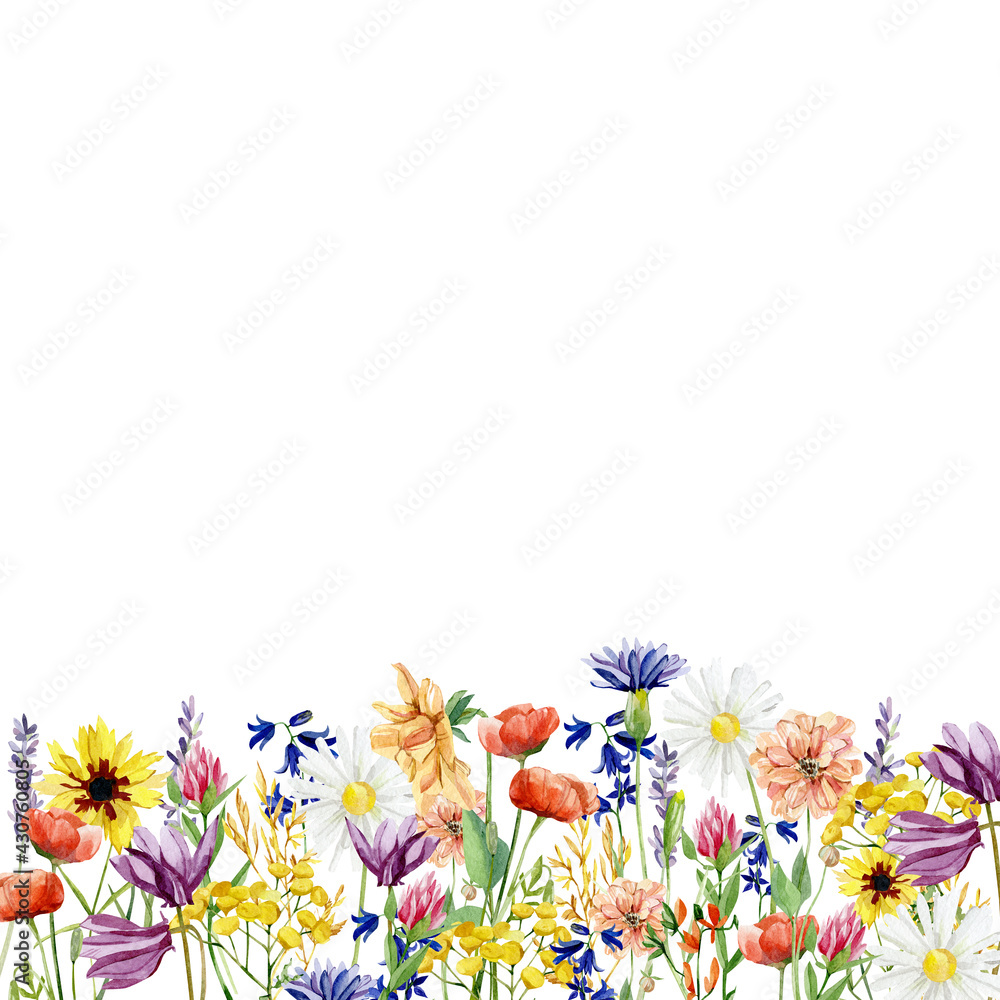 Watercolor wild floral and bright wildflowers border. Botanical herbs ...