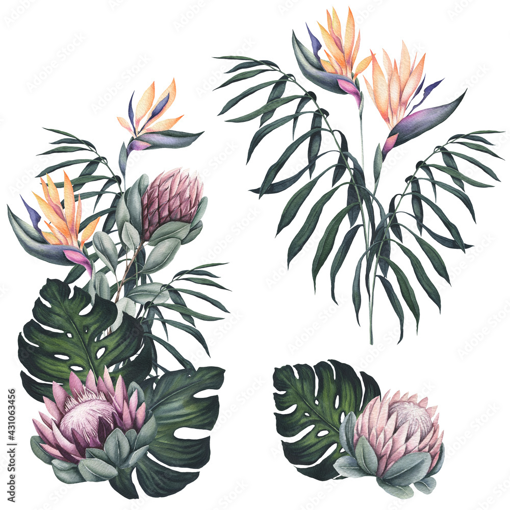 Set of Watercolor Bouquets with Tropical Leaves, Monstera and Protea ...