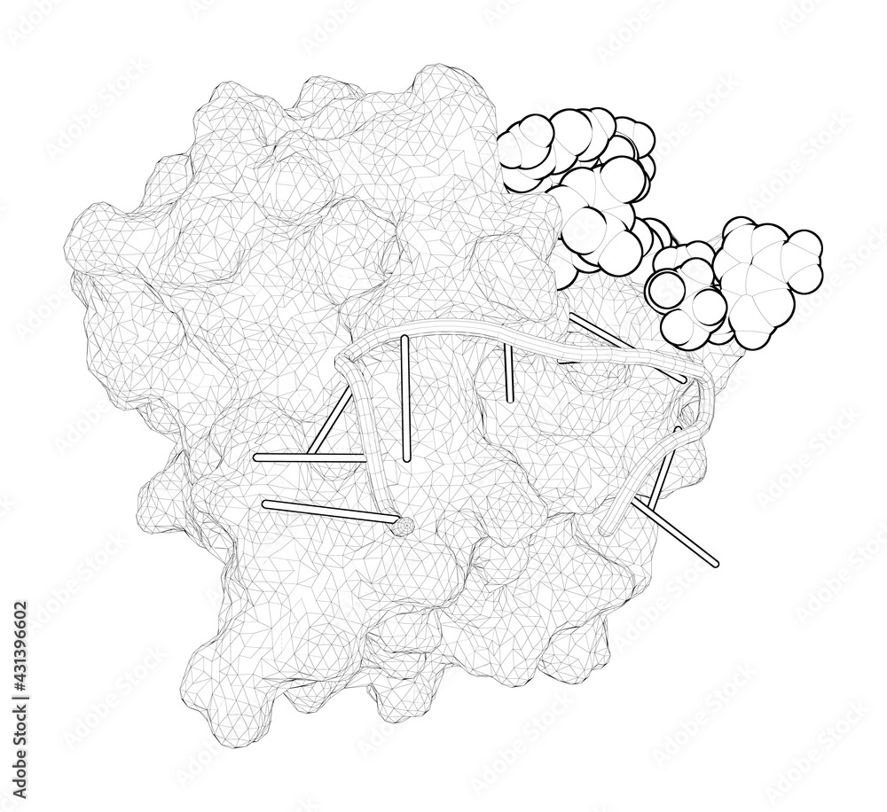 3D rendering as a line drawing of a biological molecule. A Small ...