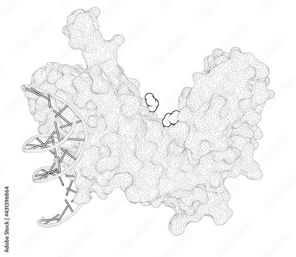 3D rendering as a line drawing of a biological molecule. Crystal ...