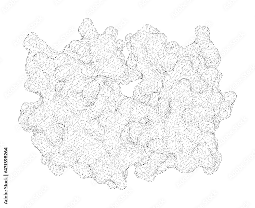 3D rendering as a line drawing of a biological molecule. Structural ...