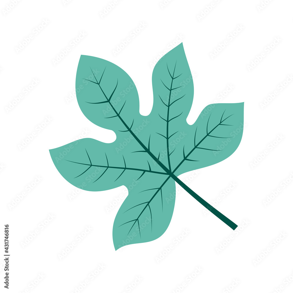 Figs vector illustration. Half of figs, seeds and leaves in cartoon ...