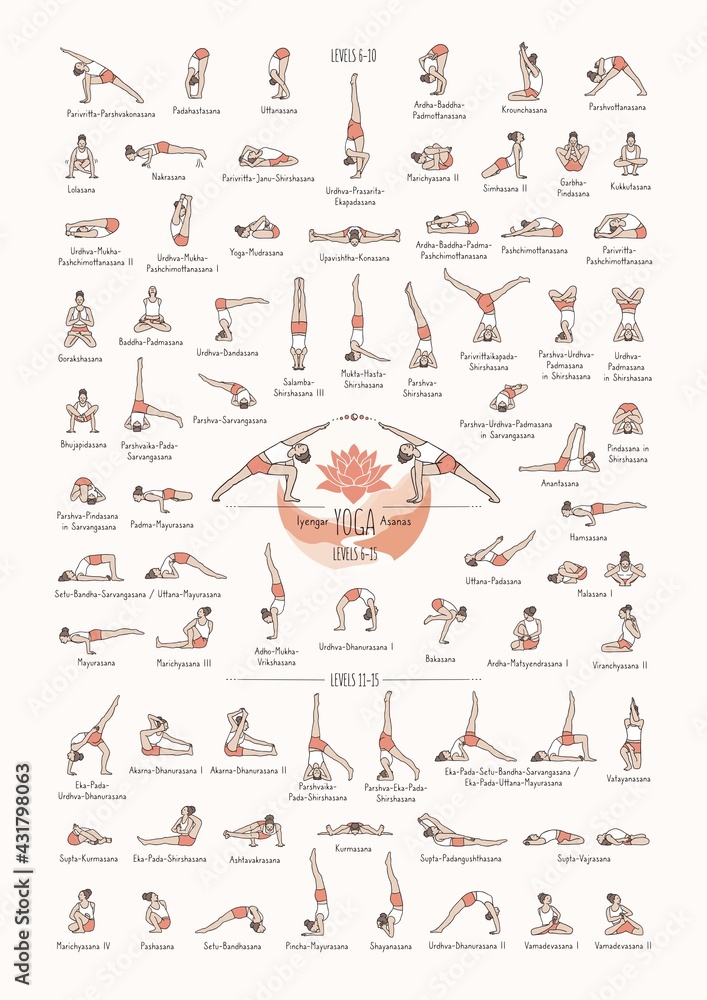 Hand drawn poster of hatha yoga poses and their names, Iyengar yoga ...