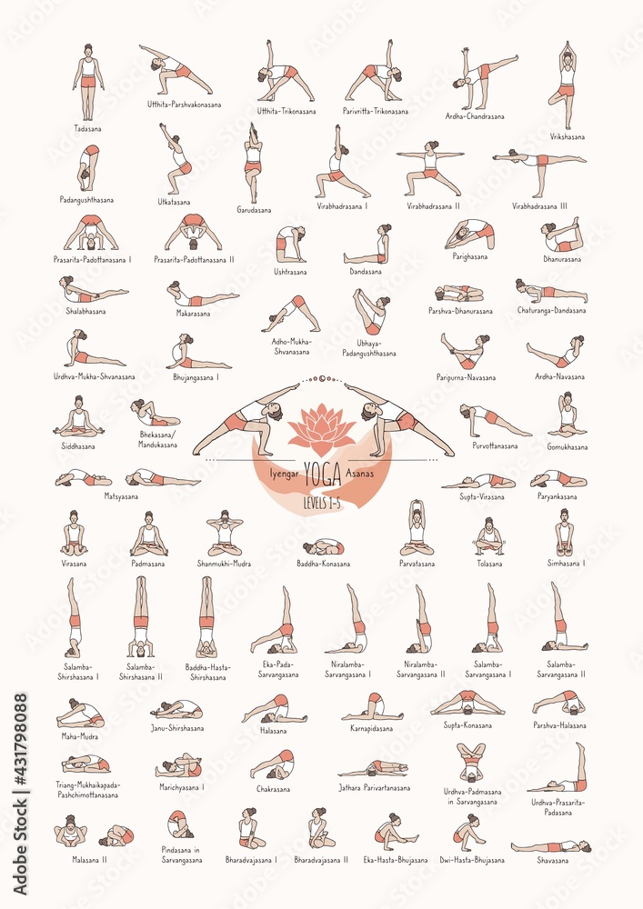 Hand drawn poster of hatha yoga poses and their names, Iyengar yoga ...