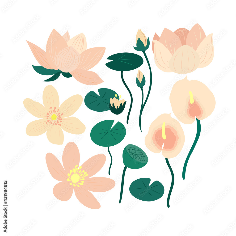 Beautiful vector set of blooming lotus and water lily hand drawn ...