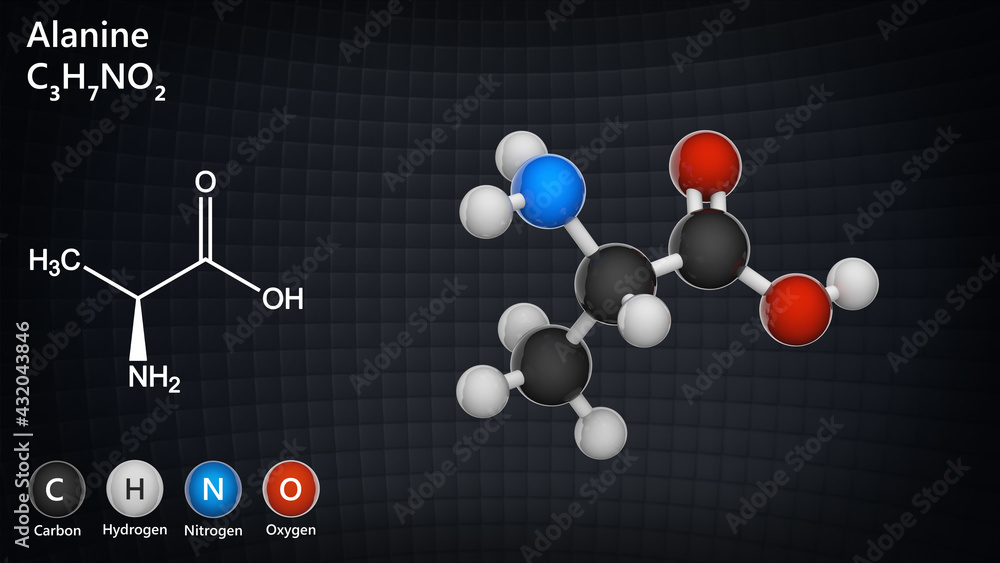 Alanine (symbol Ala or A) is a small non-essential amino acid in humans ...