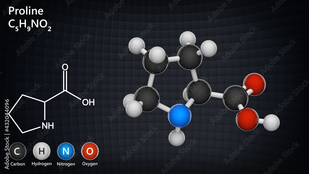Stock-Illustration „Proline (symbol Pro or P) is a cyclic, nonessential ...