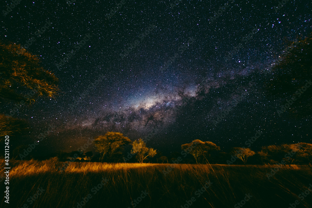 Milky way night sky over African plains, Namibia Stock Photo | Adobe Stock