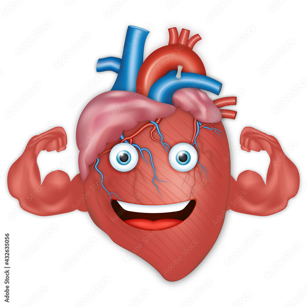 Vector de Stock Cartoon design of Strong healthy human heart as a ...