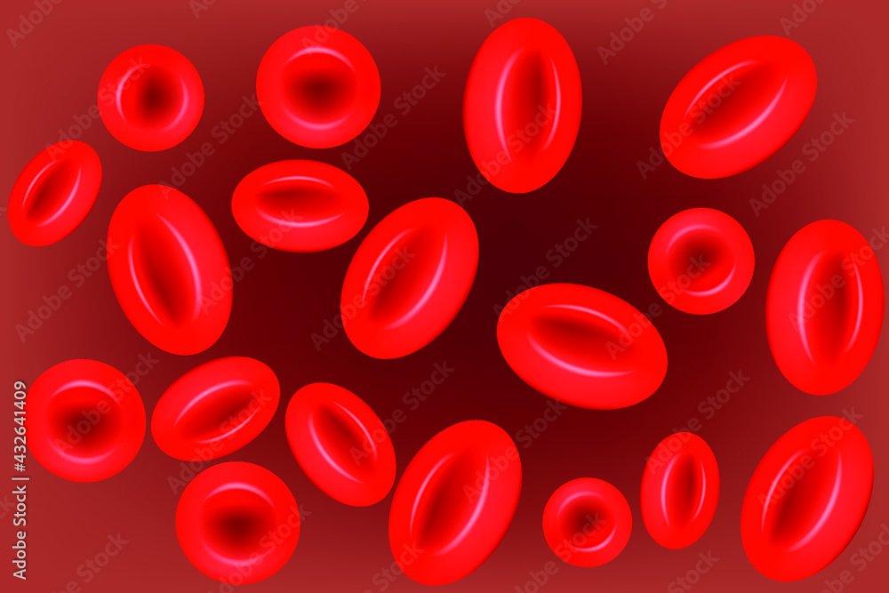 Erythrocytes. Red blood cells. Image under a microscope. Composition of ...