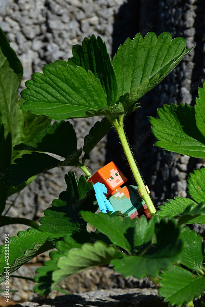 LEGO Minecraft figure of Alex with diamond pickaxe, hidden under green ...