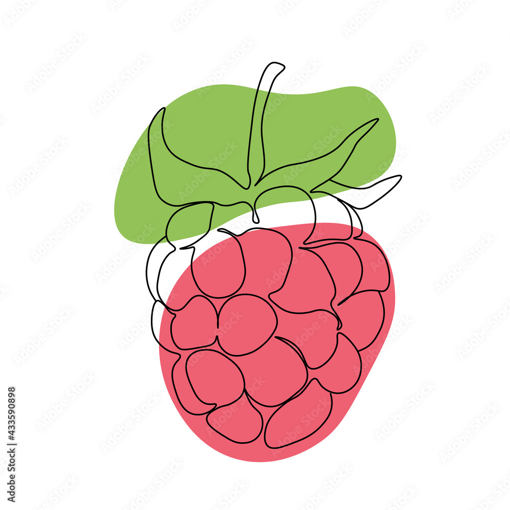 Continuous one line drawing raspberries. Vector illustration. Black ...