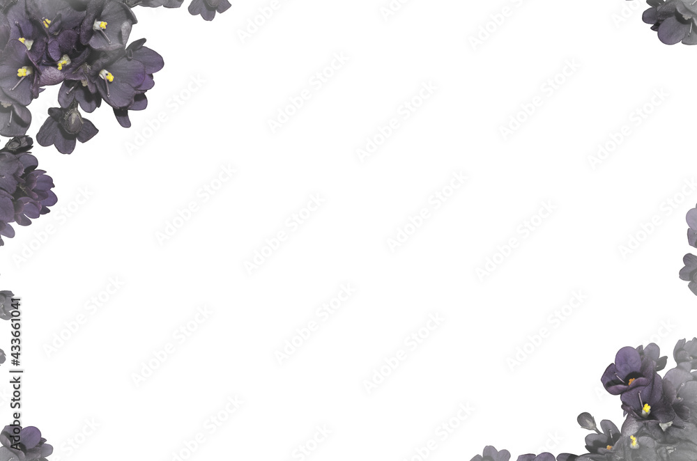 Gothic frame,border,card background with dark flowers (violets).Smoky ...