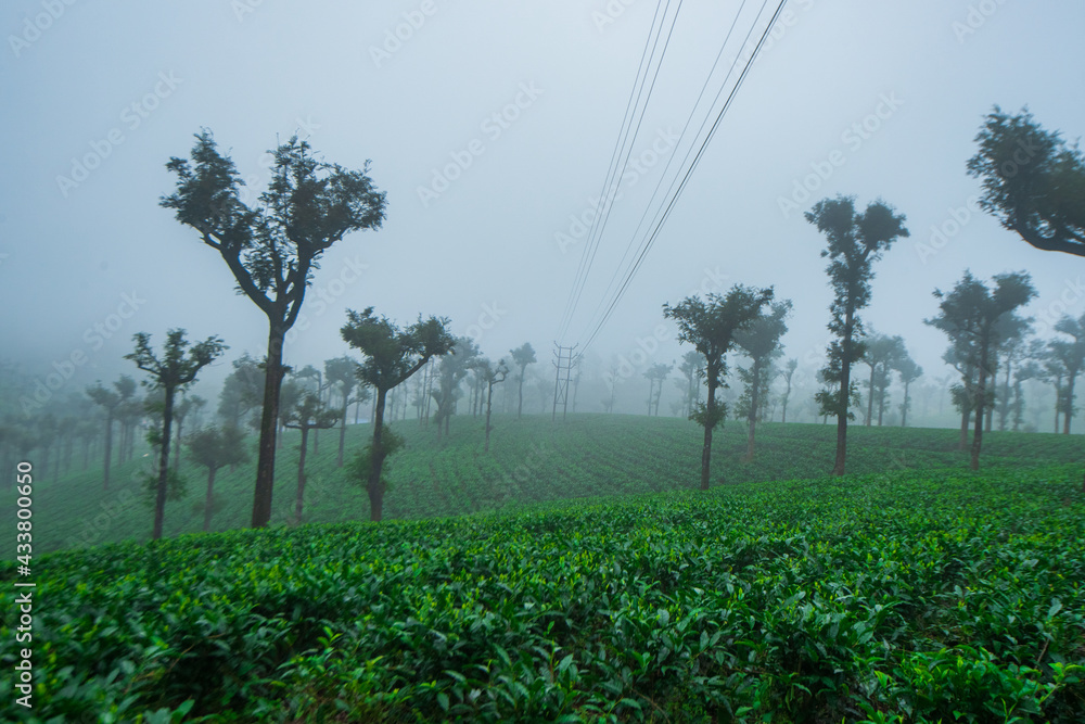 Valparai is a hill station in the south Indian state of Tamil Nadu ...
