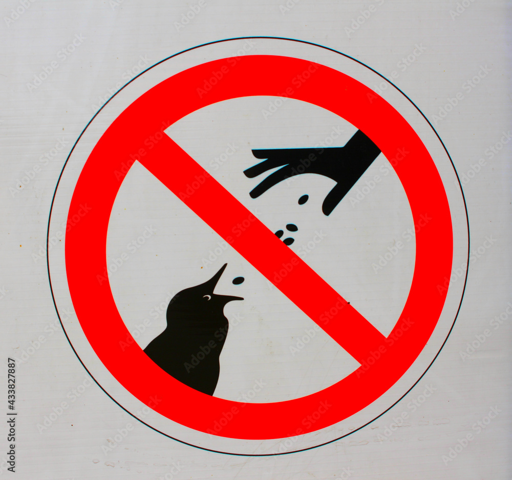 Sign prohibiting feeding birds. An image of a human hand and a bird in ...