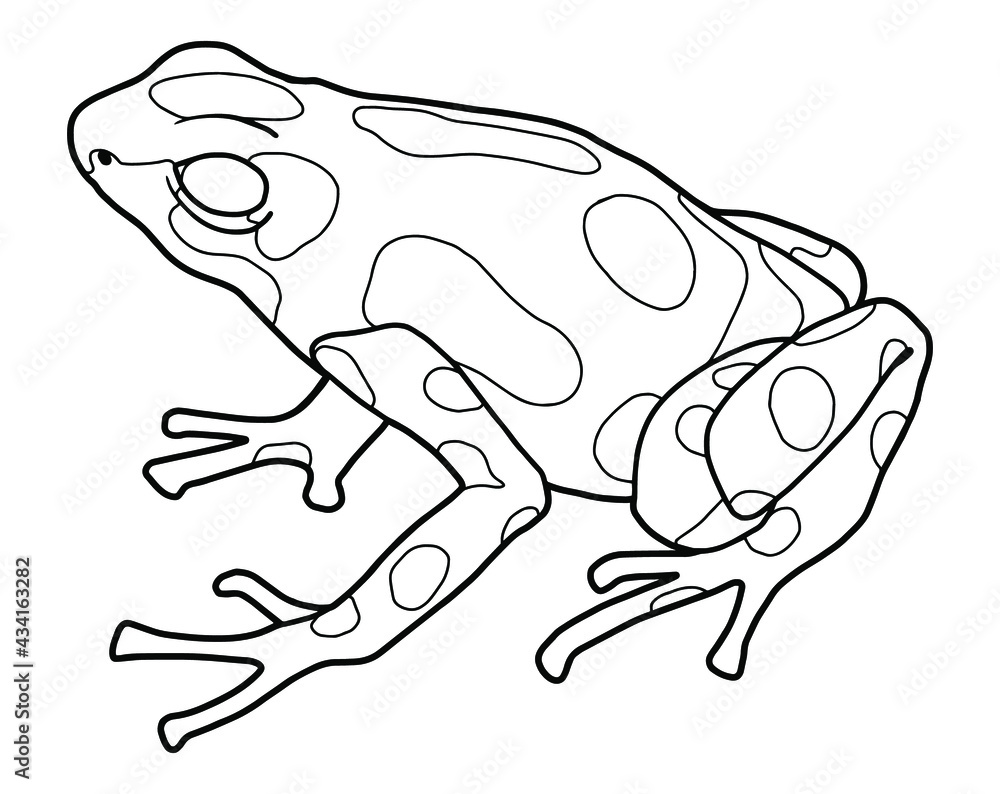 Little frog. Spotted poison dart frog. Coloring page. Black outline ...