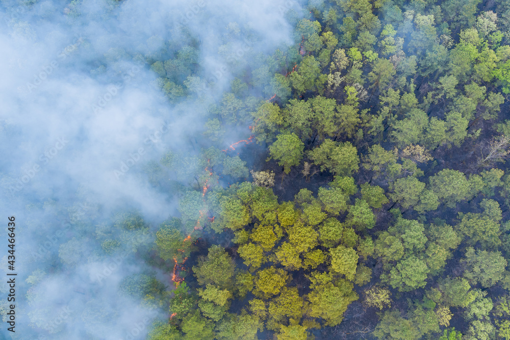 Stock-Foto „Panorama aerial wildfire is burning trees dry grass in the ...