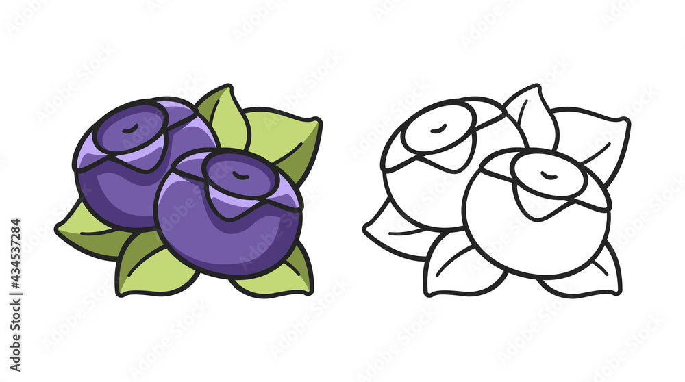 Cartoon blueberries with leaves colored and outline set. Simple flat ...