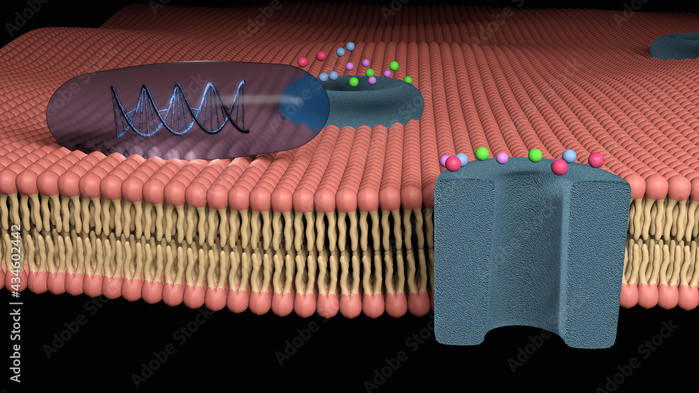 Gene therapy in a transparent soft gelatin capsule on a cell membrane ...