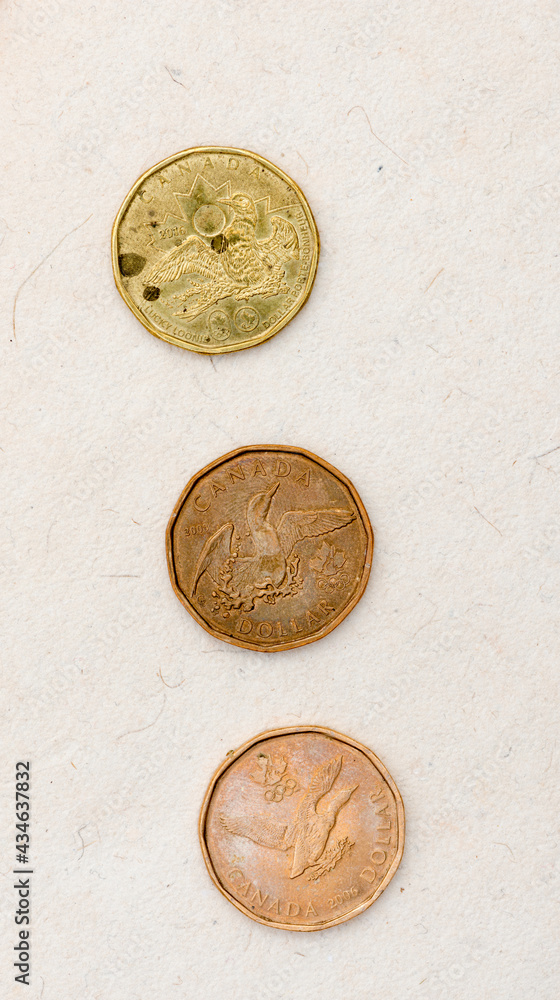 isolated loonies on paper - or Canadian one-dollar coins, feat. 11 ...