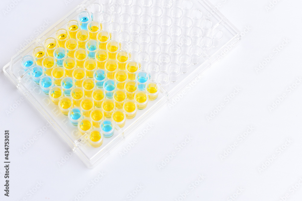 Enzyme-linked immunosorbent assay or ELISA plate, Immunology testing ...