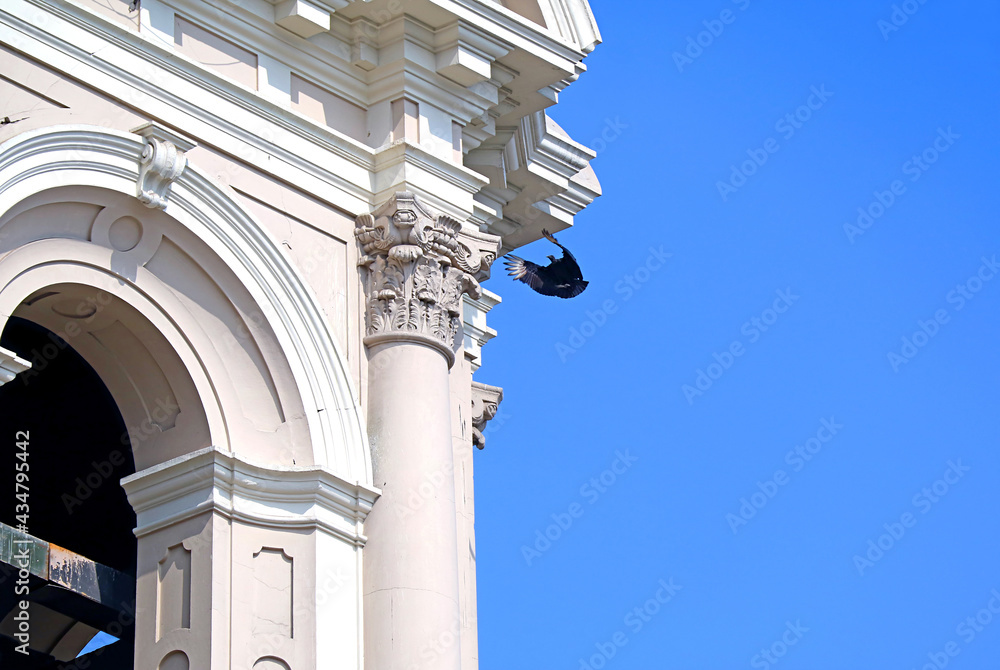 Condor Flying to the Bell Tower of Lima Cathedral, an Iconic Landmark ...
