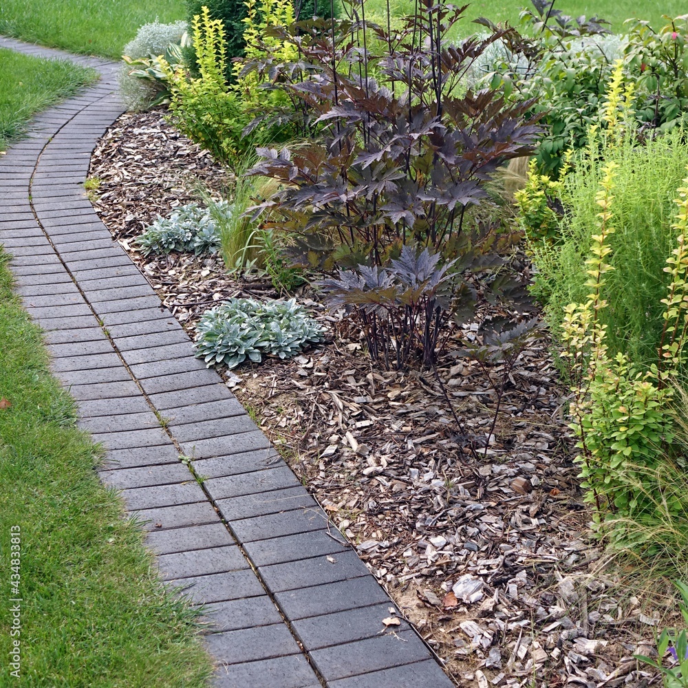 Backyard Garden Modern Design Landscaping. Decorative Garden Winding ...