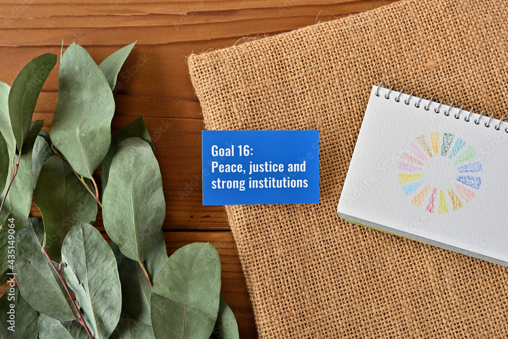 There is card with the statement Goal 16:Peace, justice and strong ...