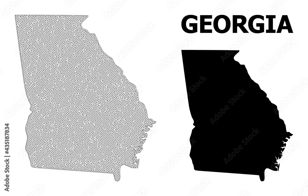 Polygonal mesh map of Georgia State in high resolution. Mesh lines, triangles and dots form map ...