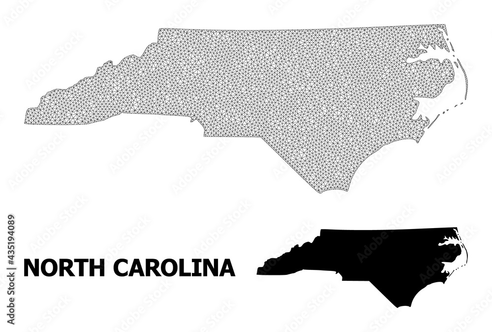 Polygonal mesh map of North Carolina State in high detail resolution ...