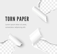 Paper Roll Free Stock Photo - Public Domain Pictures