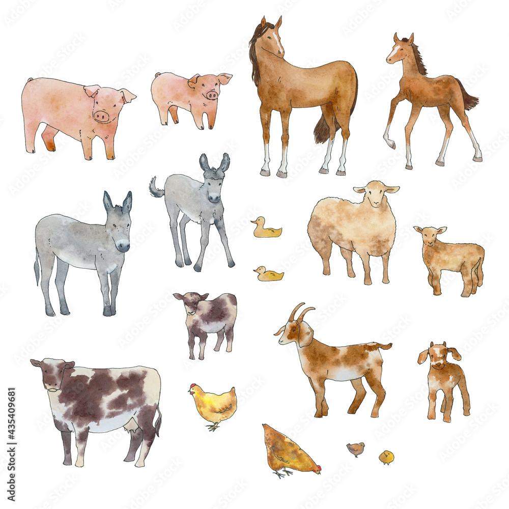 Watercolor hand drawn farm animals clipart, Watercolor country life ...