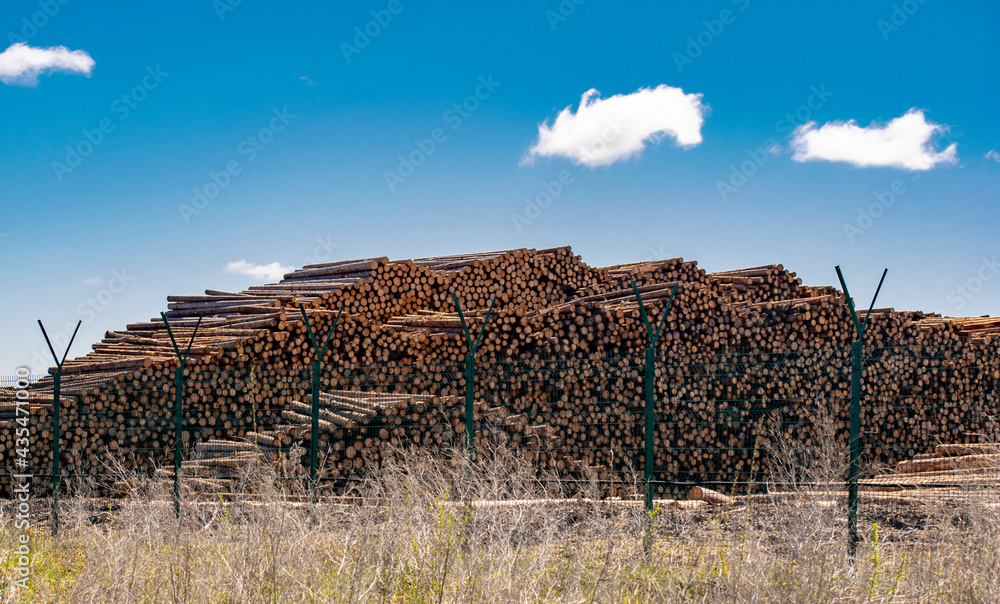 Warehouse-storage of logs in the open air behind a fence. Stock Photo ...
