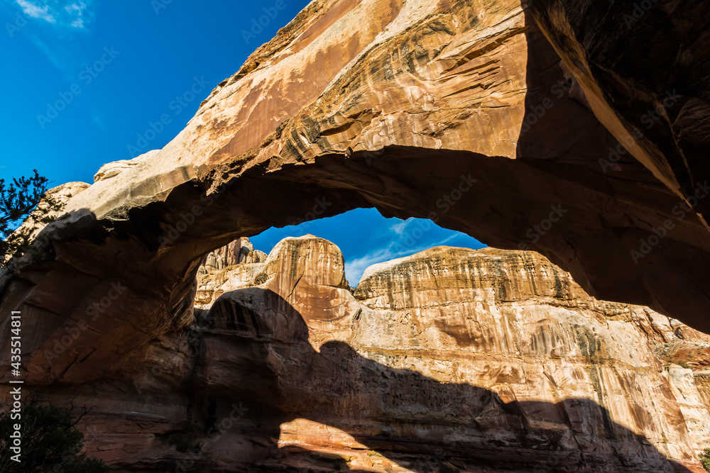 Hickman Natural Bridge Formed Into The Waterpocket Fold, Capitol Reef ...