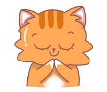 Namaste Cat Free Stock Photo - Public Domain Pictures